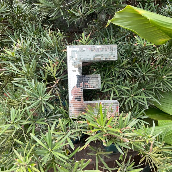 Mirror Letters - Etsy