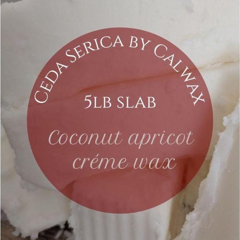 Candles Coco Apricot - Etsy