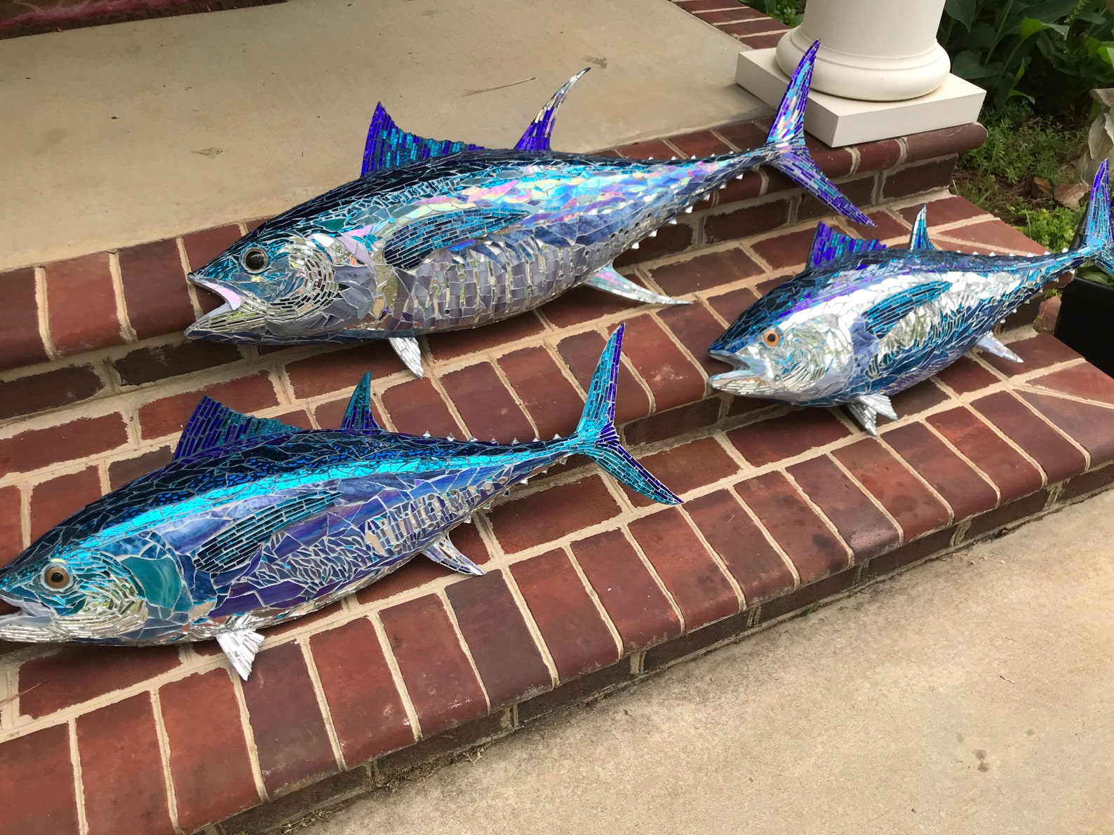 Made to Order Tuna Wall Mount - Etsy