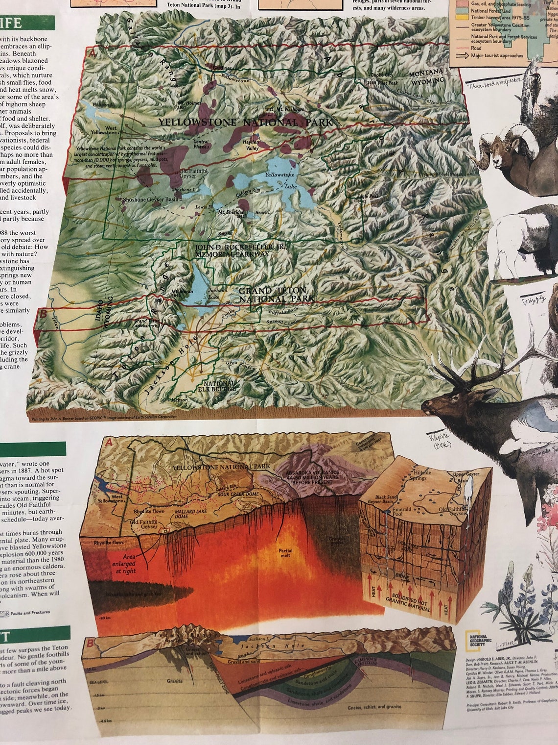 Original February 1989 Map of Yellowstone and Grand Teton, National ...