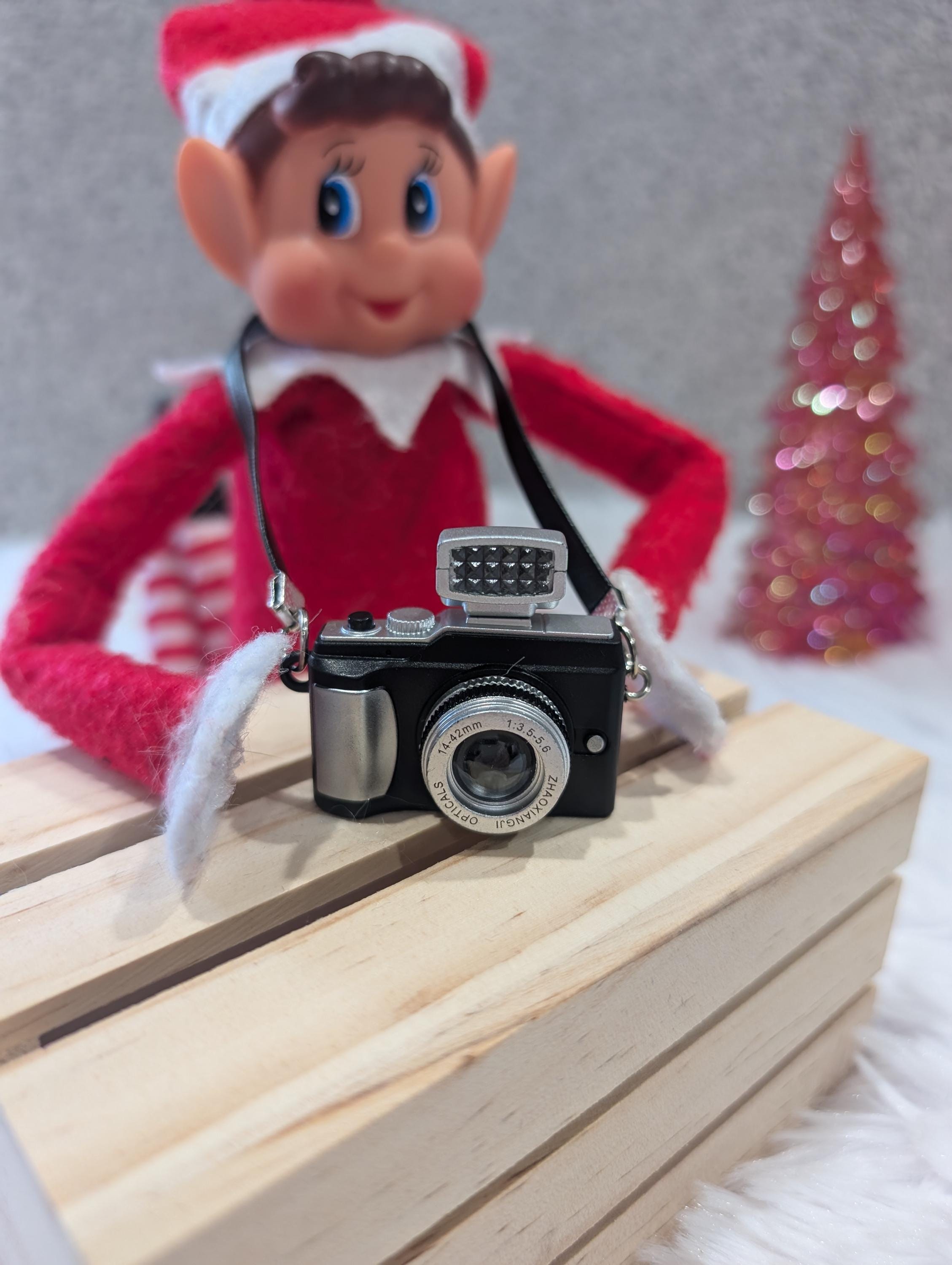 Elf Photographer Dream Set With Sound & Flash: 1/6 Scale Camera, Easel ...