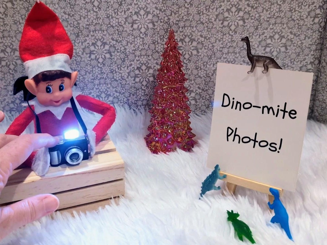 Elf Photographer Dream Set With Sound & Flash: 1/6 Scale Camera, Easel ...