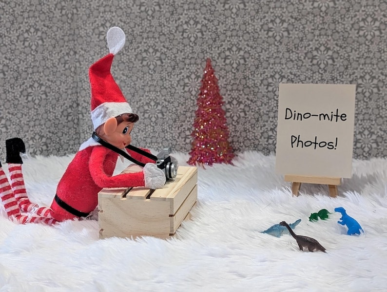 Elf Photographer Dream Set With Sound & Flash: 1/6 Scale Camera, Easel ...