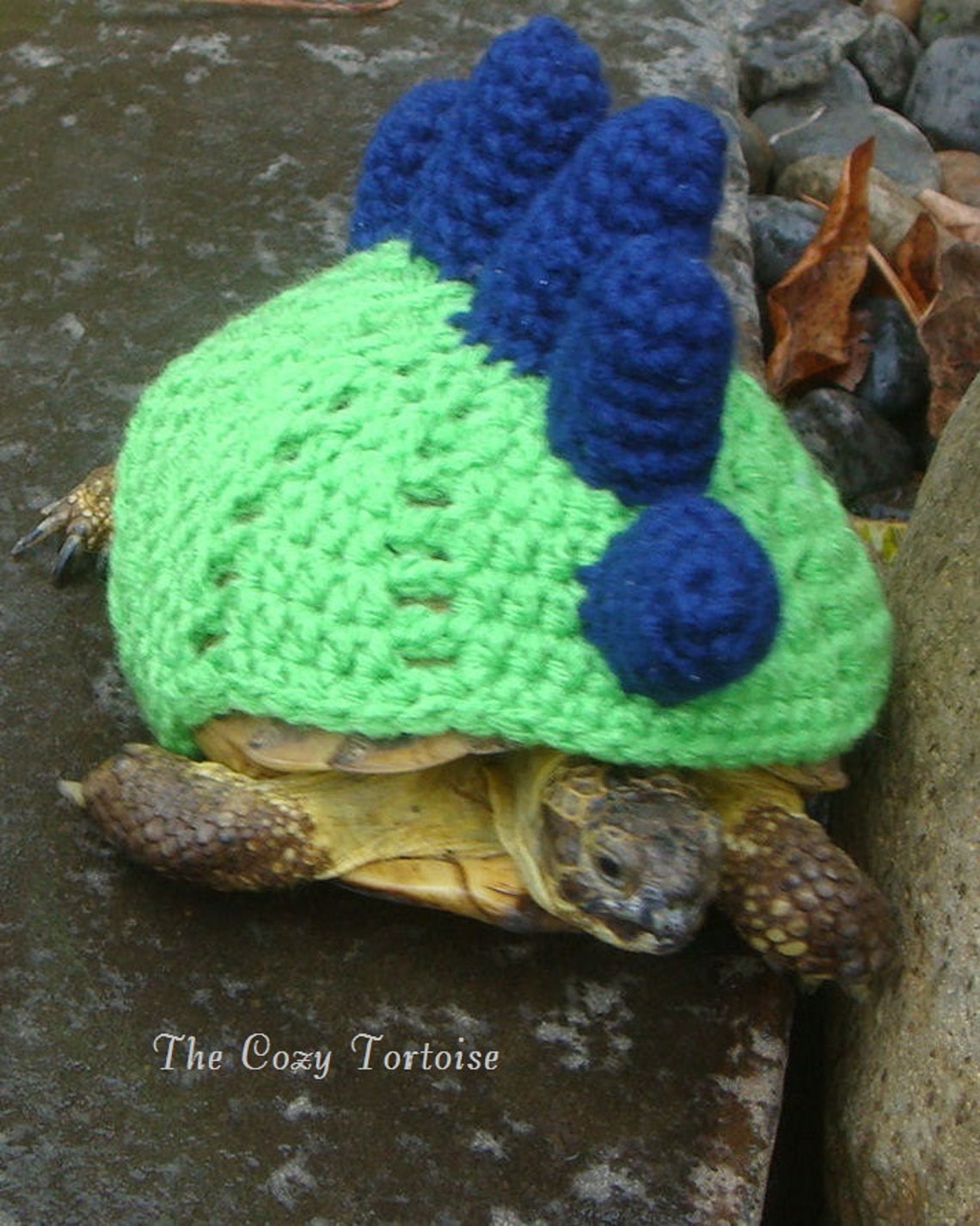 Stegosaurus Dinosaur Dino Tortoise Cozy Made to Order - Etsy UK