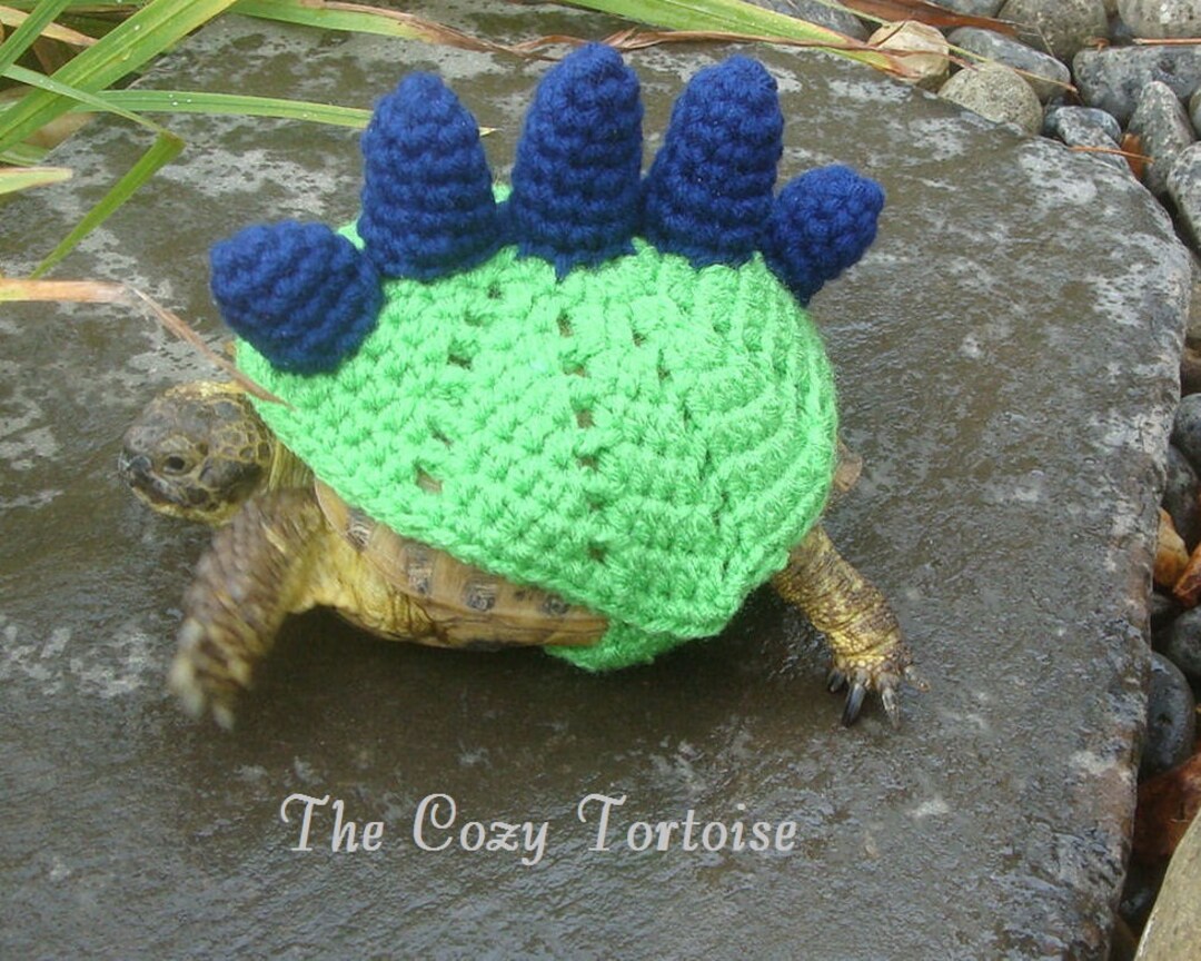 Stegosaurus Dinosaur Dino - Tortoise Cozy - Made to Order- Turtle ...
