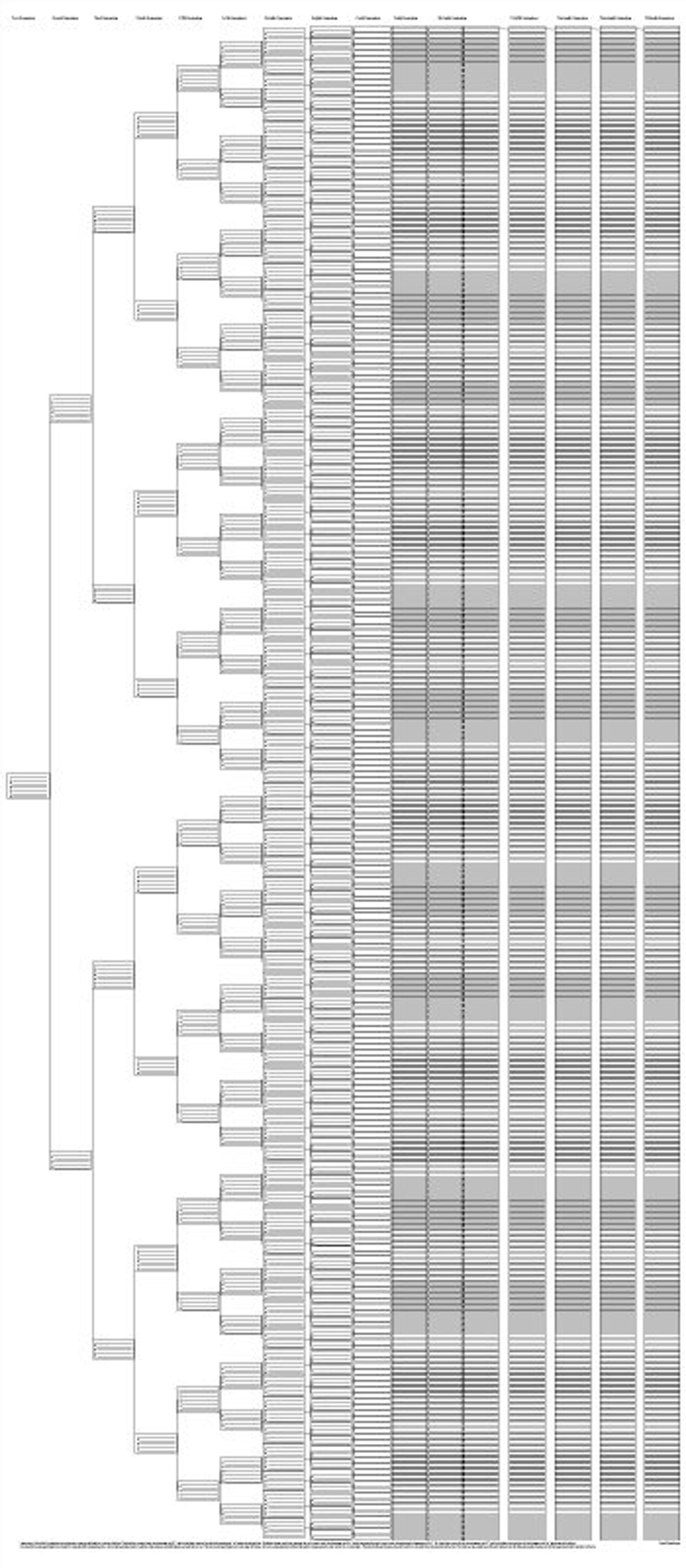 Tokyo Fifteen Generation Family History Chart - Etsy