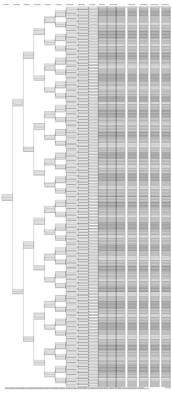 Tokyo Fifteen Generation Family History Chart - Etsy
