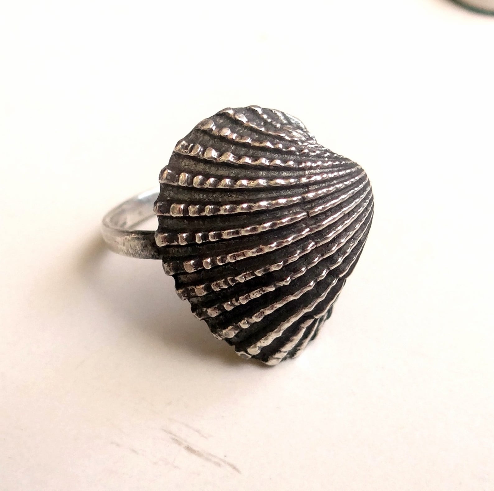 Anillo de concha Anillo de damas de concha de concha de mar - Etsy España