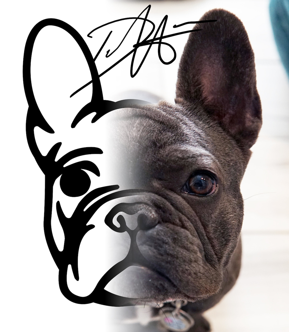 French Bulldog Decal | Etsy