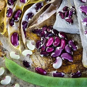 1500 Year Old Cave Beans - Non GMO - Vegetable Gardening Grow Your Own ...