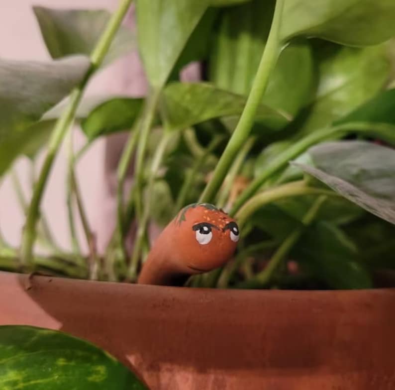 4 Inch Wormie Water Sensor TERRACOTTA CERAMIC Worm Plant | Etsy