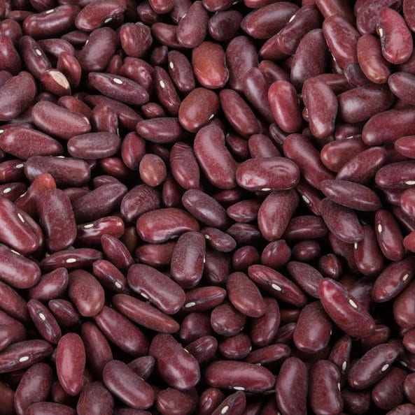 NC Heirloom Dark Red Kidney Beans - Bush Bean - Non GMO - Vegetable ...