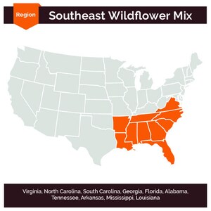 Heirloom SOUTHEAST Wildflower Seed Mix Seeds - Easy Care - Great for ...