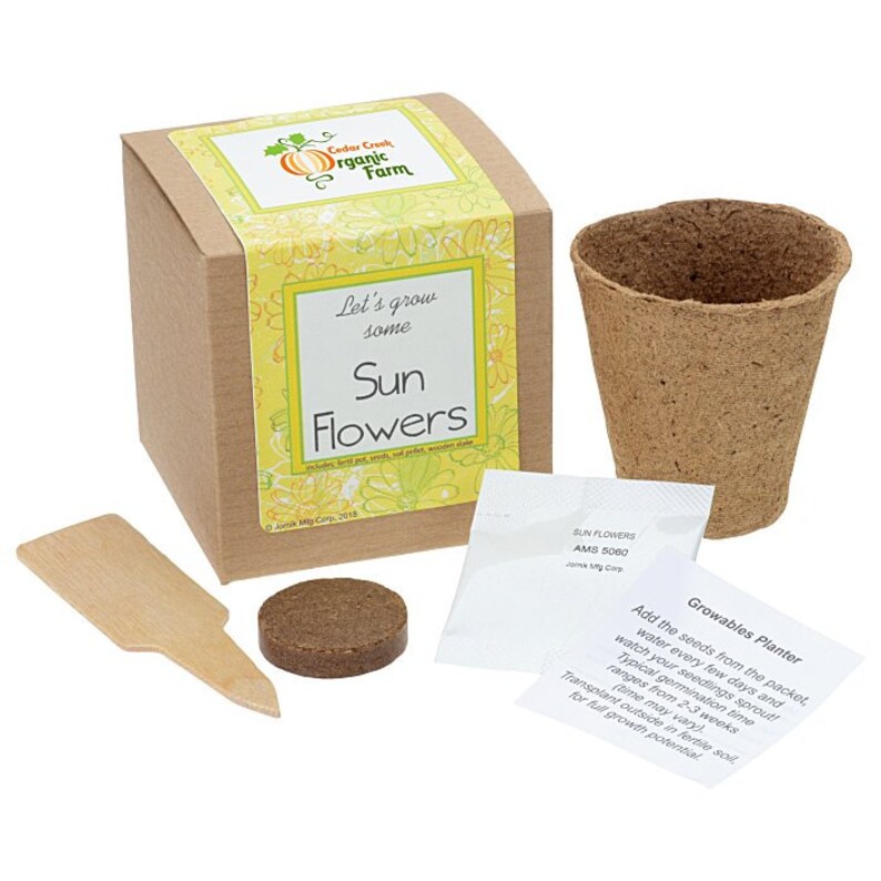 Sunflower Grow Kit Pollinator Kit Save the Bees - Etsy