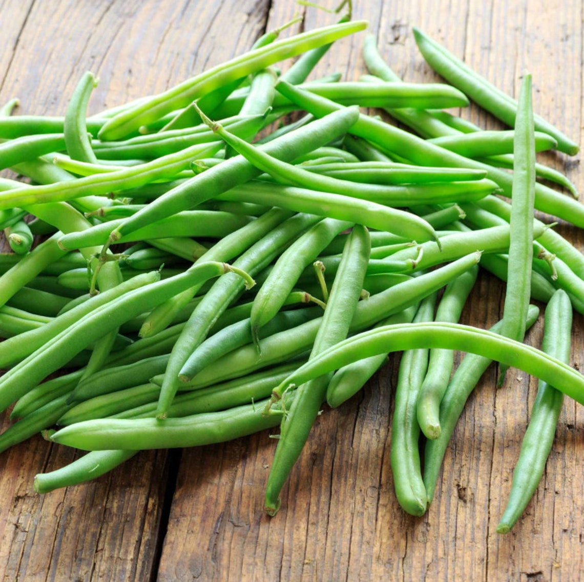 Heirloom Burpees Stringless Bean Seeds - Green Bean Seeds - Open ...