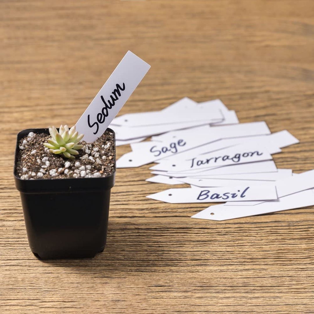 Pack of 25 Plant Markers - Plastic Plant Labels Tags 4 Inch Garden ...