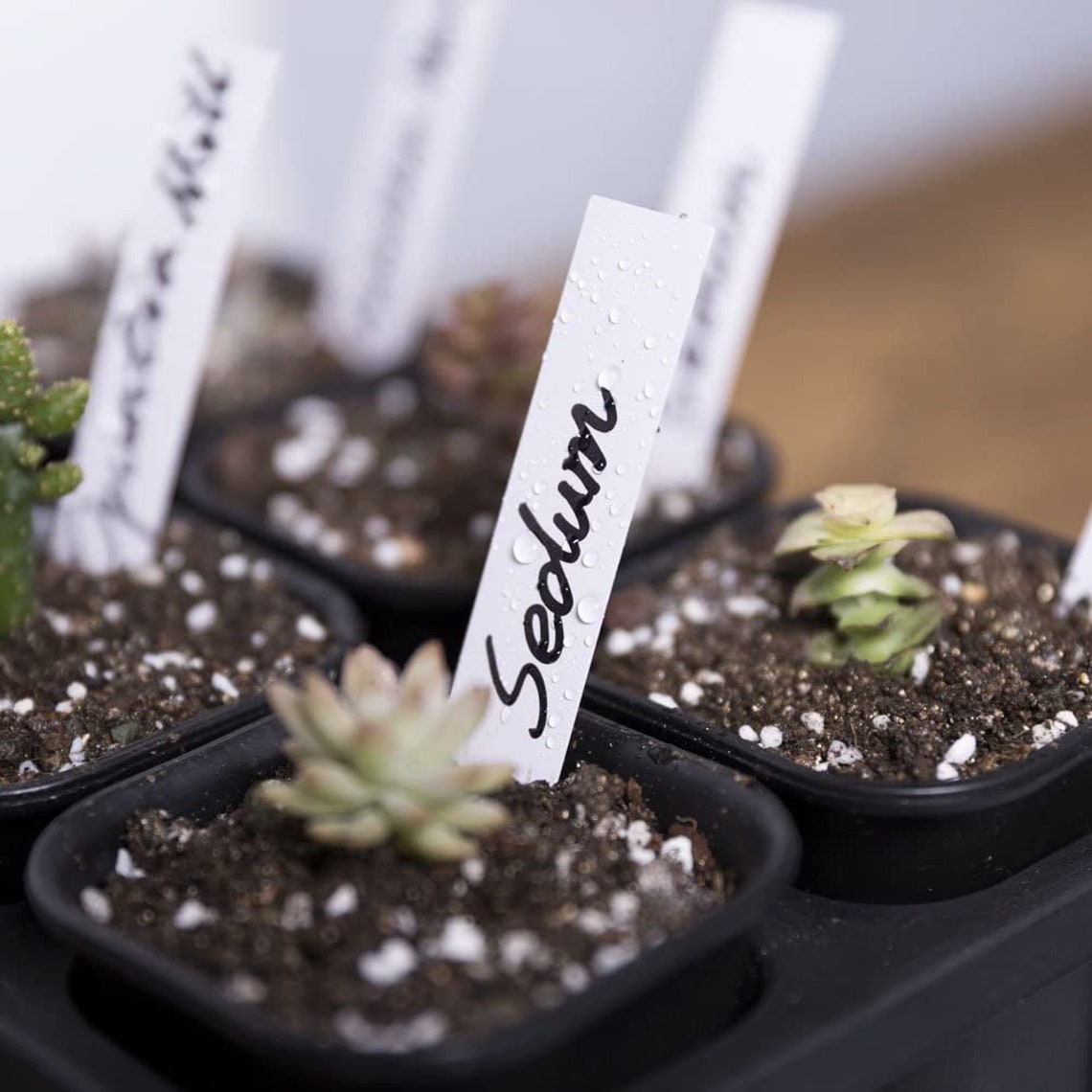 Pack of 25 Plant Markers Plastic Plant Labels Tags 4 Inch - Etsy