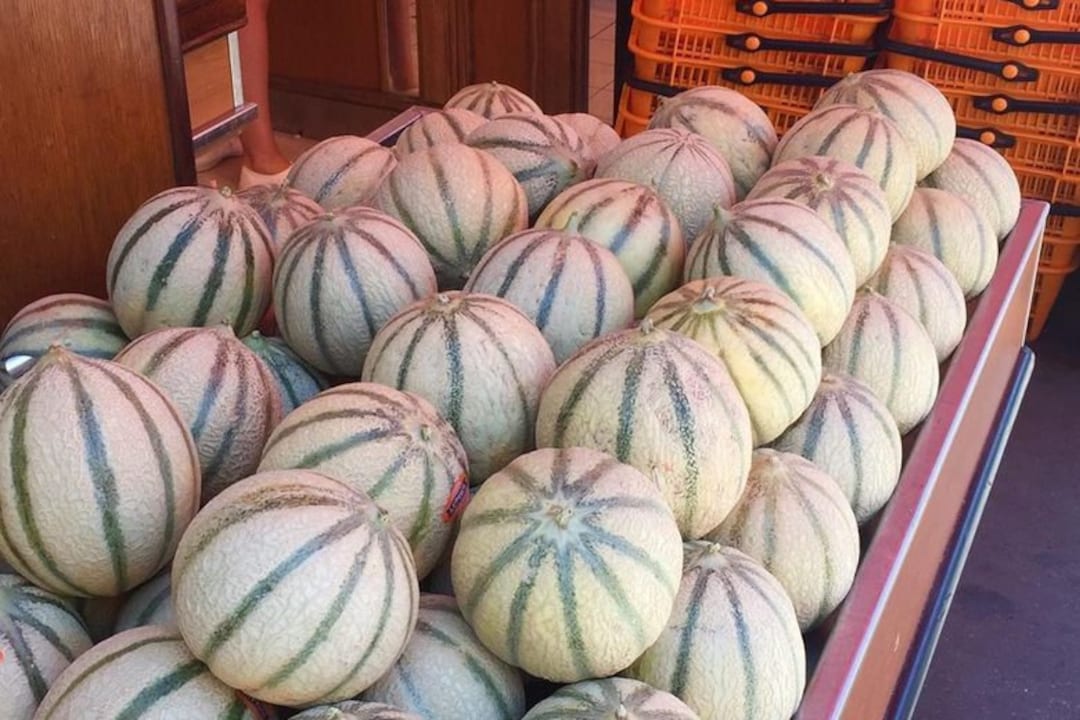 Heirloom Melon Seeds - Hara Madhu - Non GMO - Open Pollinated ...