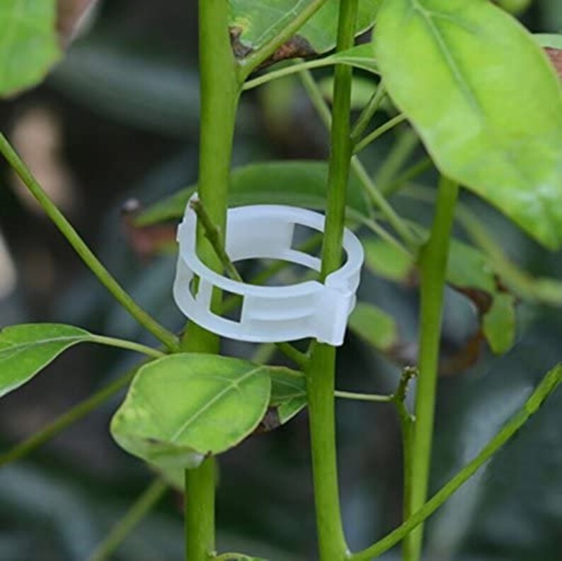 20 Pieces Plant Support Clips Plant Ties for Support Plants - Etsy