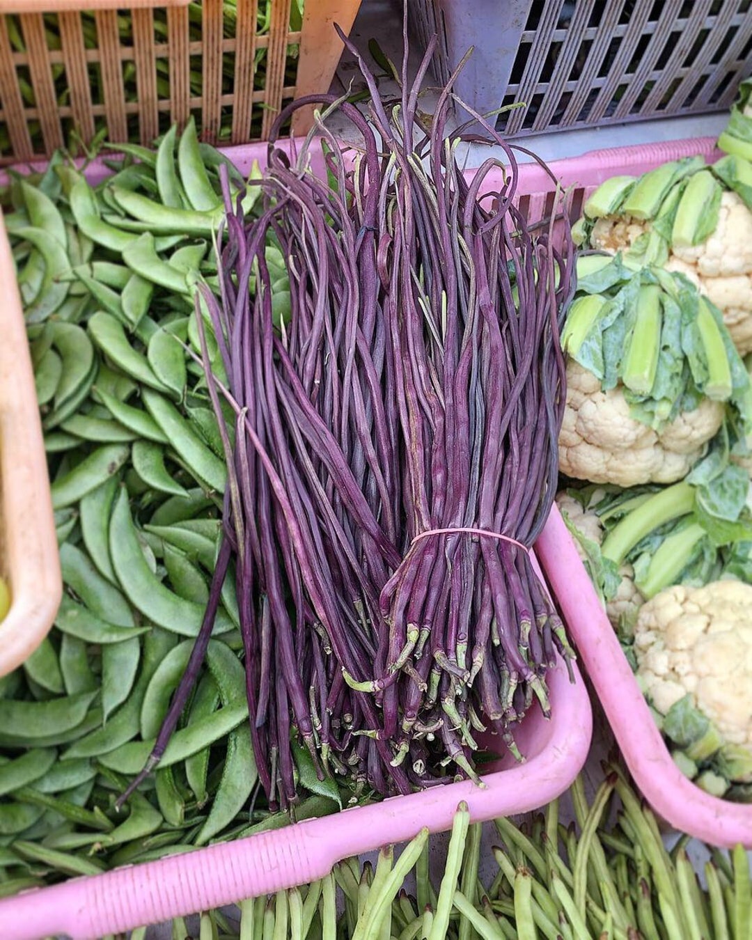 Heirloom Red Rats Tail Radish Seeds - Non GMO - Vegetable Gardening ...