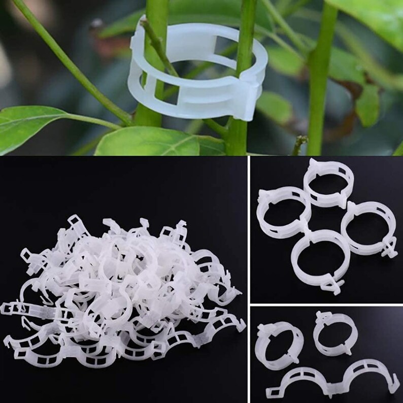 20 Pieces Plant Support Clips Plant Ties for Support Plants - Etsy