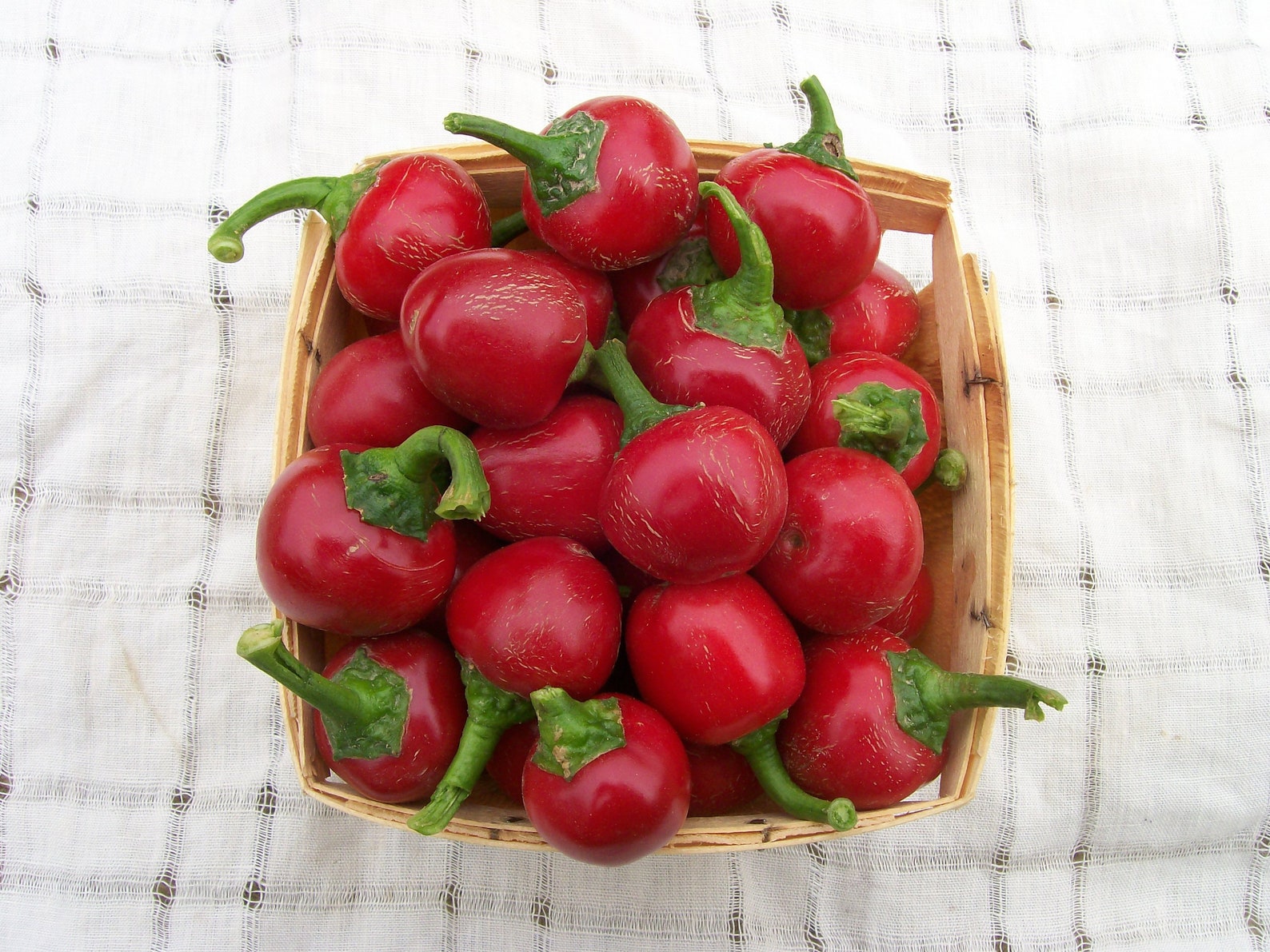 USA Heirloom Sweet Pepper Seeds Red Cherry Sweet Peppers - Etsy