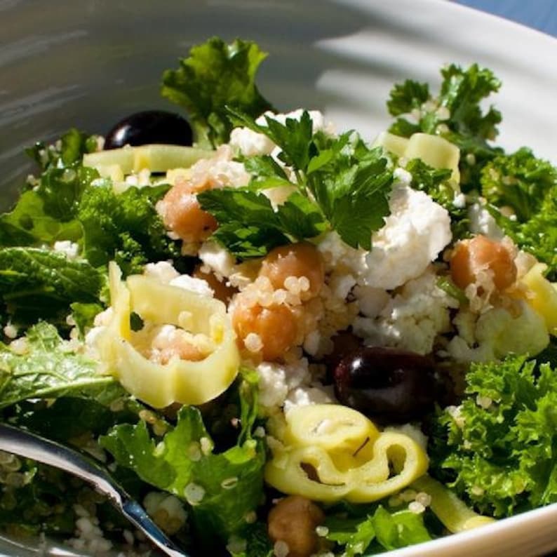 NC Heirloom Dandelion Green Seeds - Italian Red - Vegetable Gardening ...