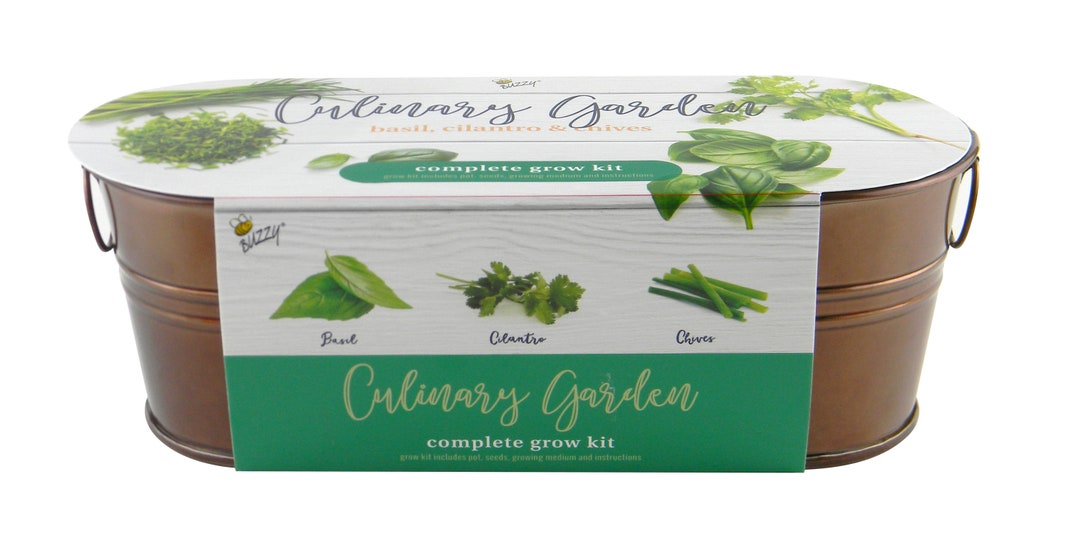 Windowsill Herb Grow Kit Basil Cilantro and Chives Culinary Garden Grow ...