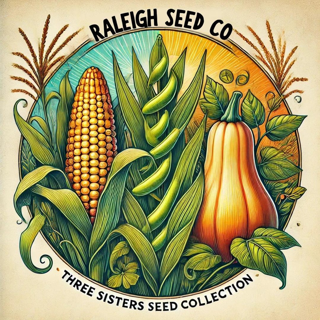Three Sisters Seed Collection - NC Heirloom Seeds - Non GMO - Vegetable ...