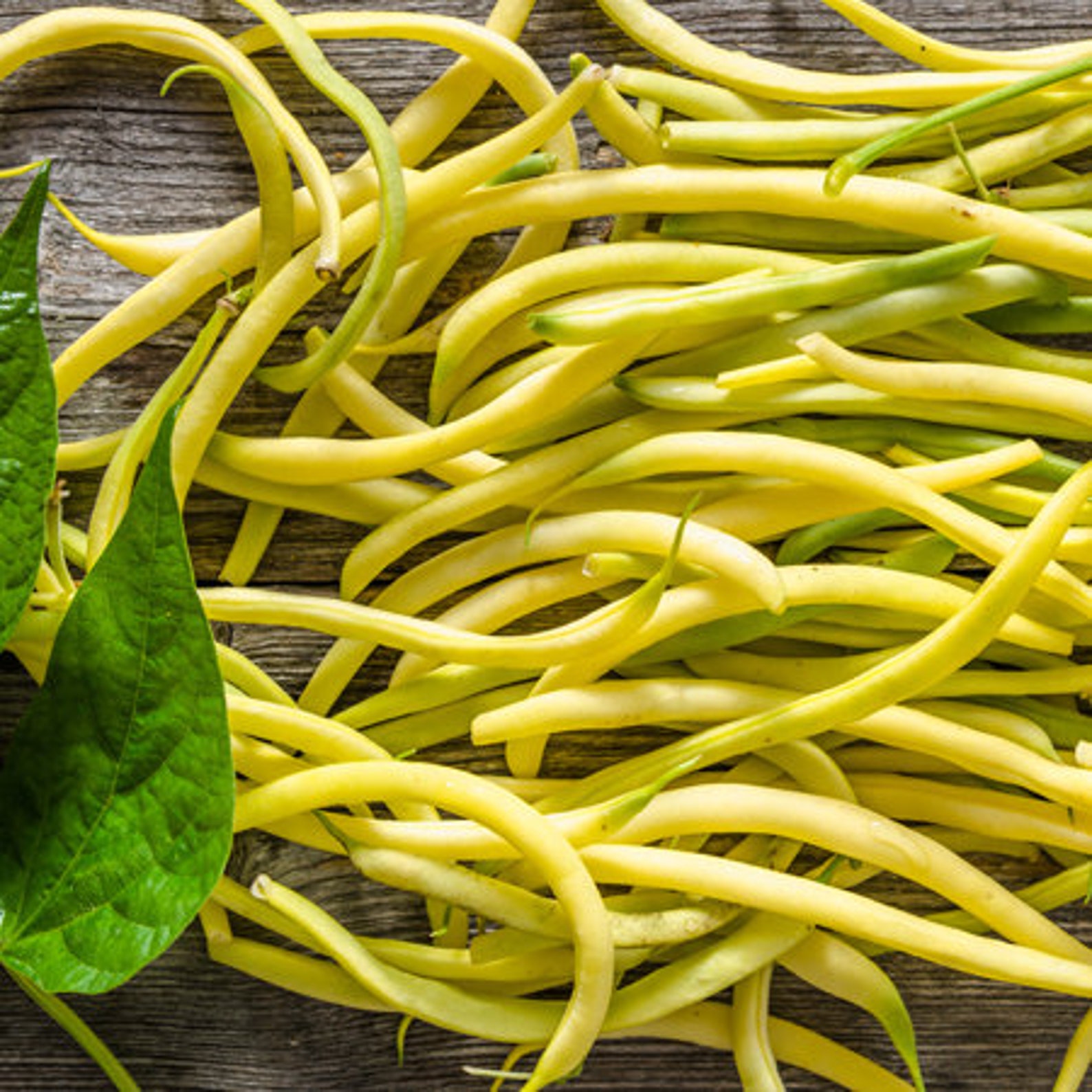 NC Heirloom Cherokee Wax Bean Seeds Open Pollinated Non | Etsy