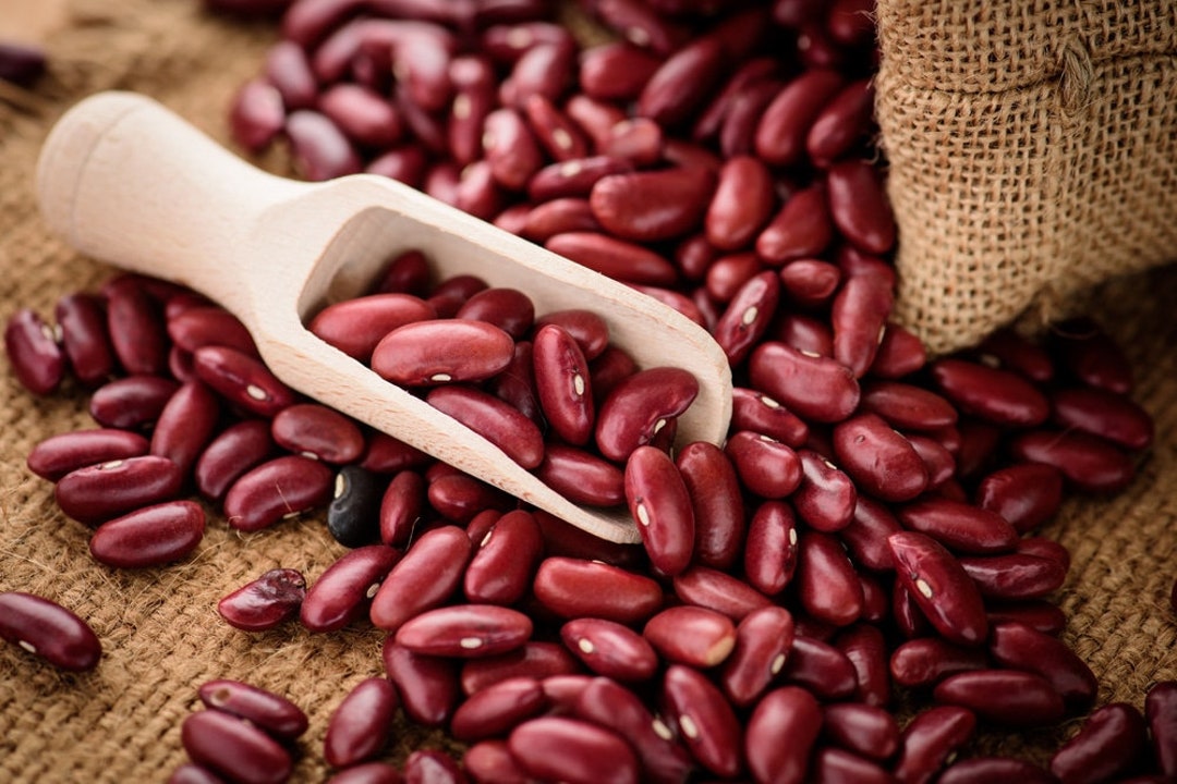 NC Heirloom Dark Red Kidney Beans - Bush Bean - Non GMO - Vegetable ...