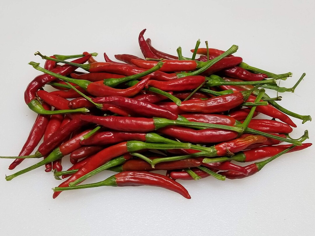 Thai Dragon Hot Pepper Seeds - Non GMO - Open Pollinated Seeds ...