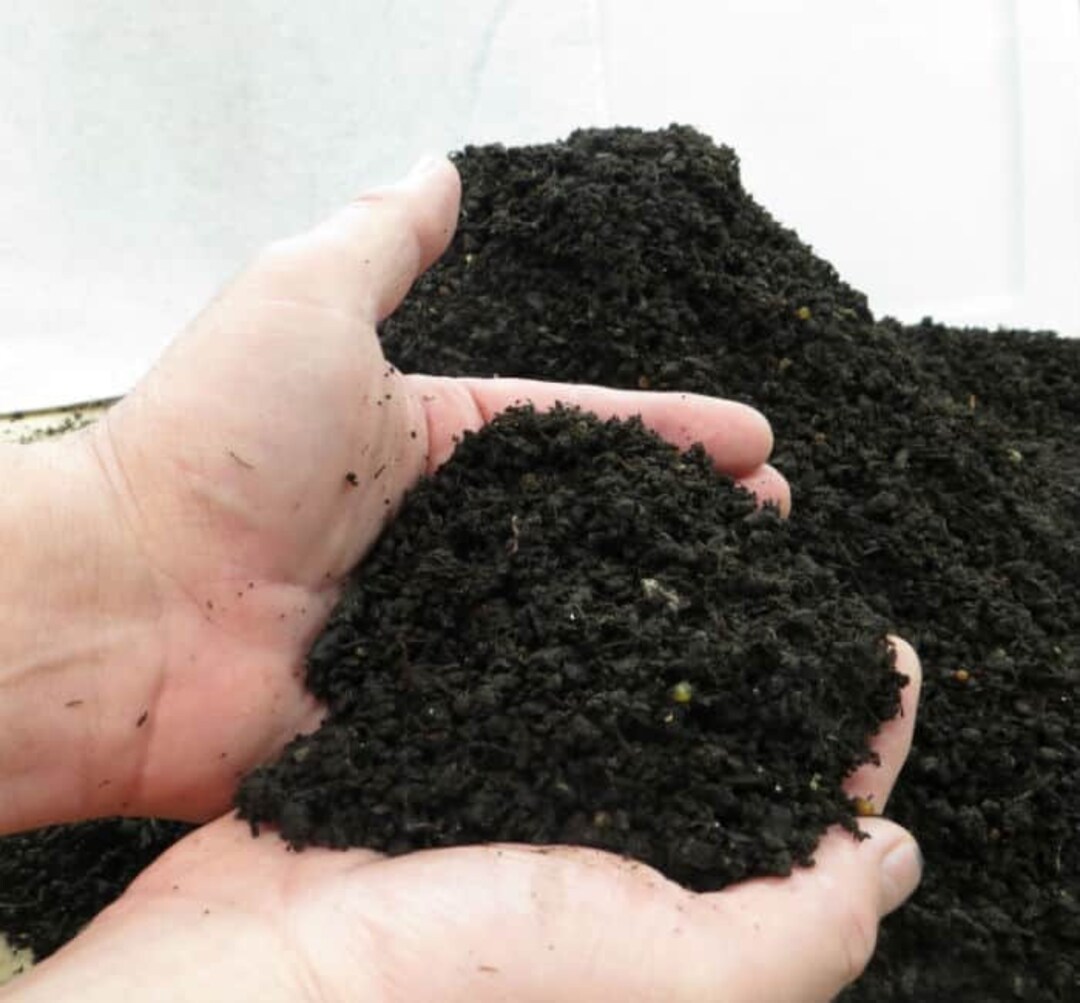 Worm Castings - Vermicompost - Natural Fertilizer - Outdoor Gardening ...