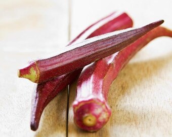 Alabama Red Okra Seeds - Etsy