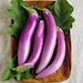 NC Heirloom Eggplant Seeds Long Chinese Nasubi Purple Shine Non GMO ...
