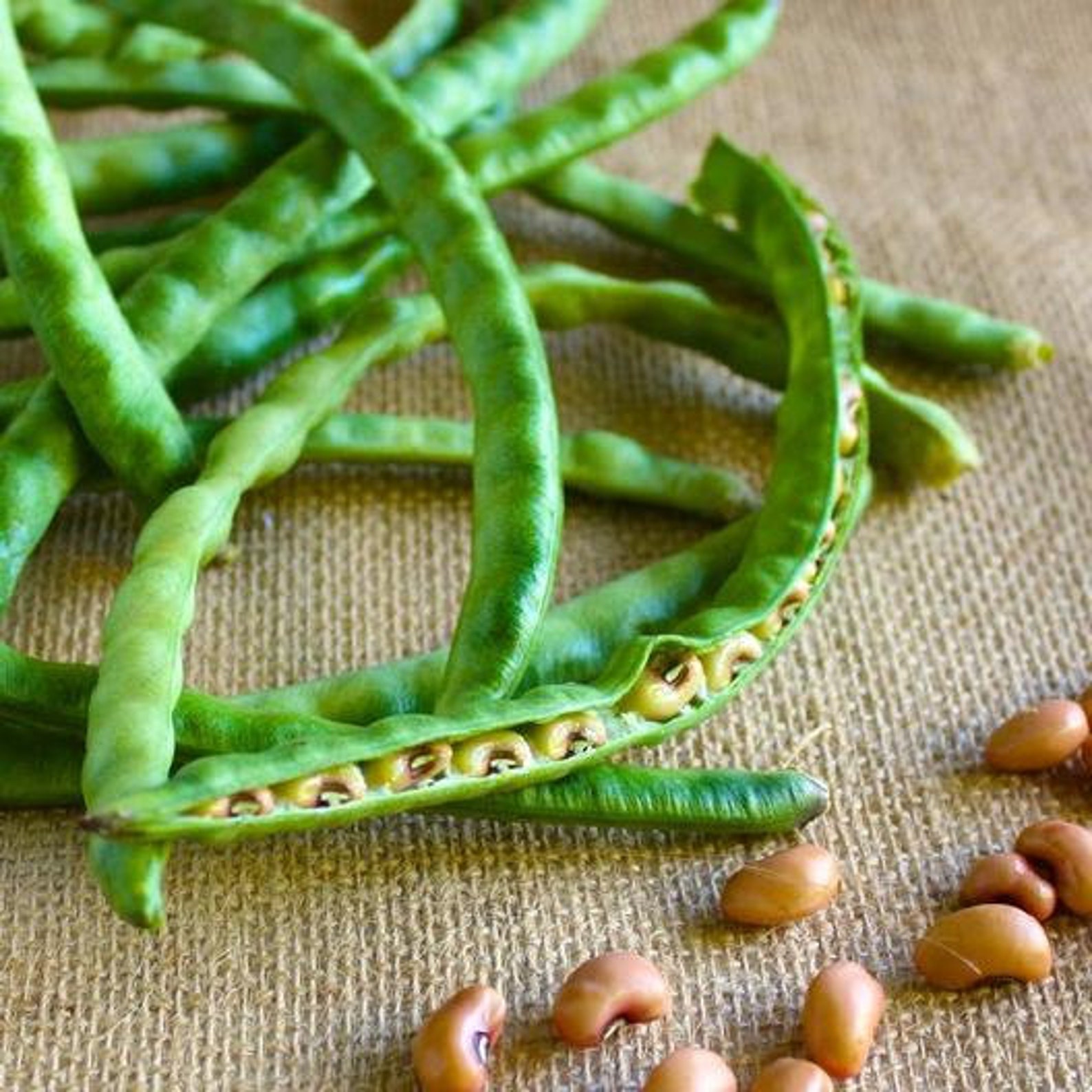 USA Heirloom Cowpea Seeds - California Blackeye Peas Seeds - Non GMO ...