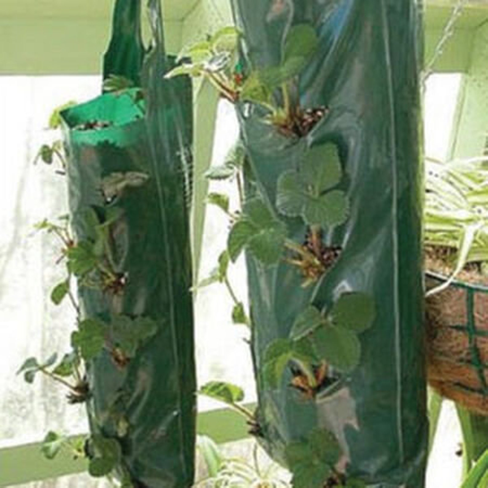 Hanging Grow Bag - Al's Flower Pouch - Wall Planter - Outdoor Gardening ...