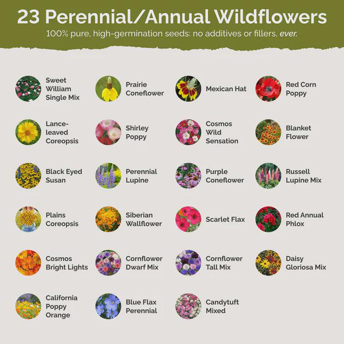 Heirloom Michigan Wildflower Seed Mix Seeds - Easy Care - Great for ...