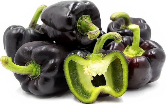 Heirloom Sweet Pepper Seeds Merlot F1 Non GMO Open - Etsy