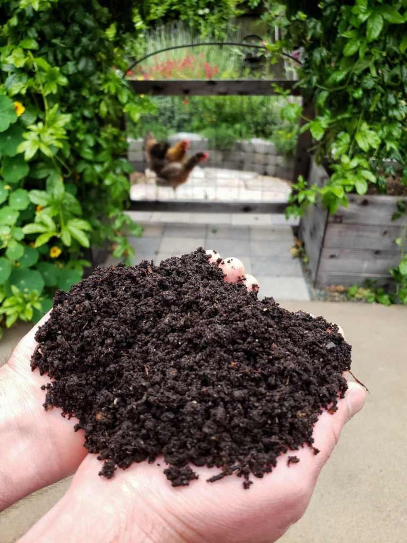 Worm Castings Vermicompost Natural Fertilizer Outdoor | Etsy