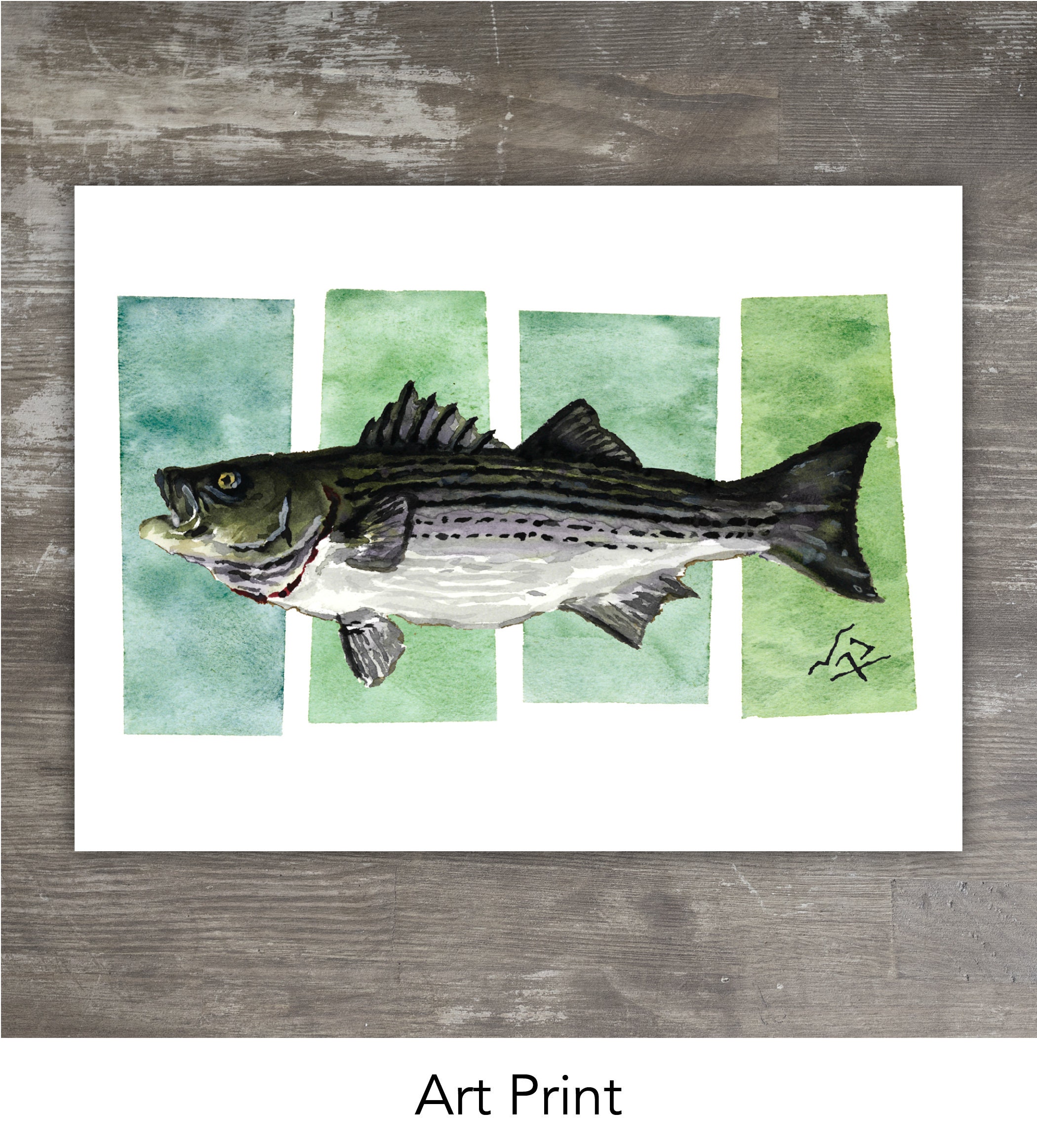 STRIPED BASS // Watercolor Art Print - Etsy