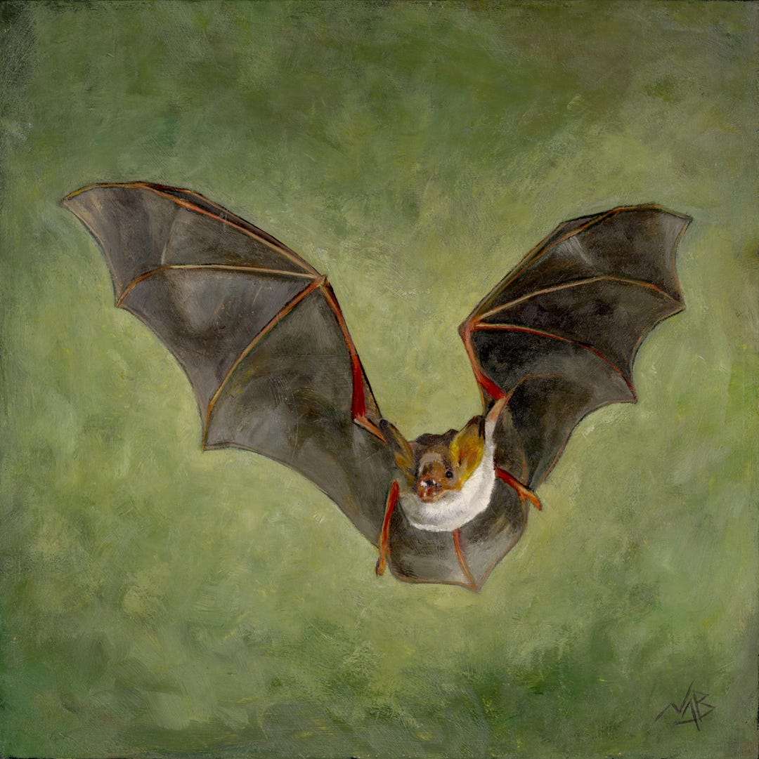 Flying Bat Art Print - Spooky Gothic Style Dark Nature Painting - Etsy