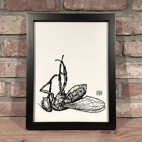 Dead Fly Art