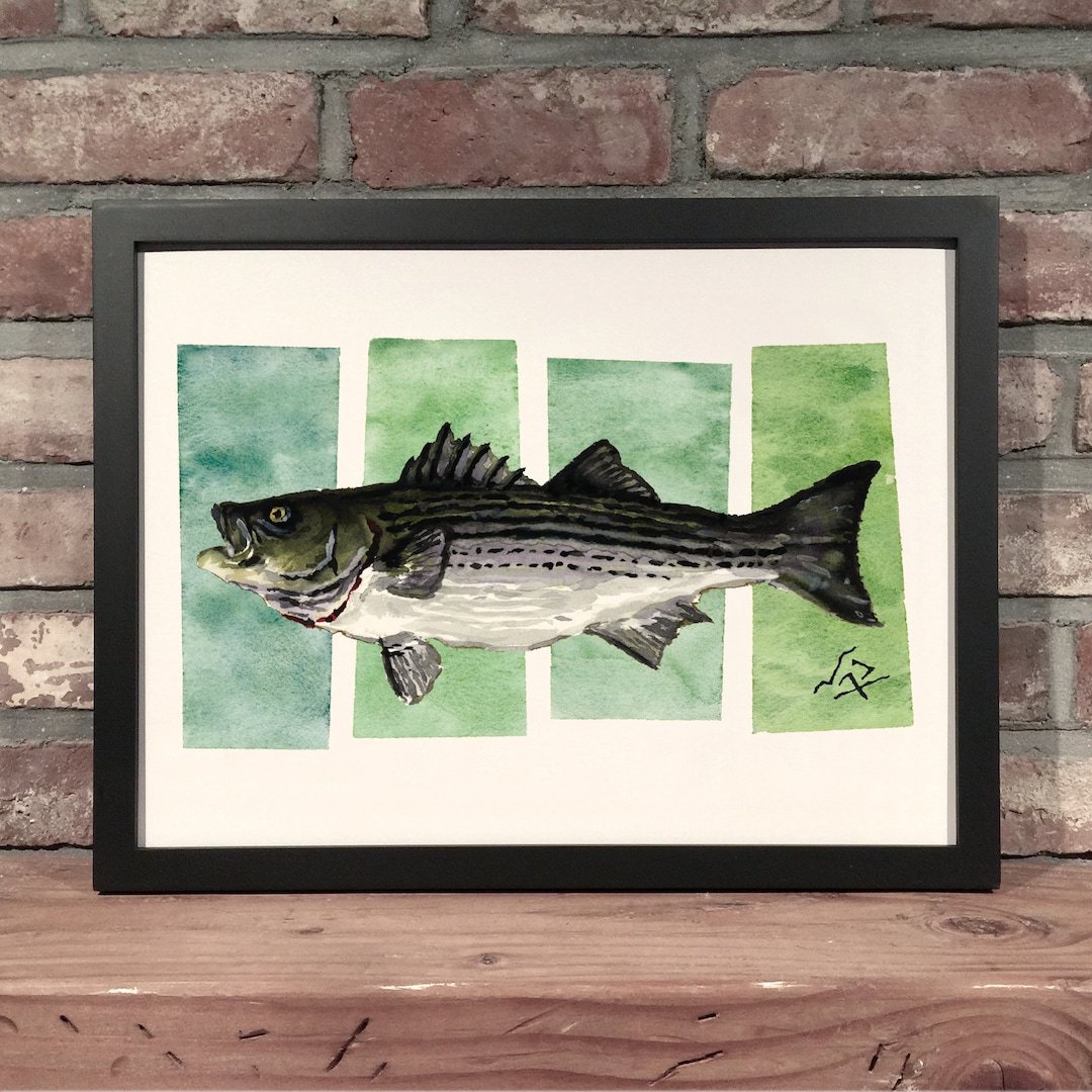 STRIPED BASS // Watercolor - Art Print - Etsy