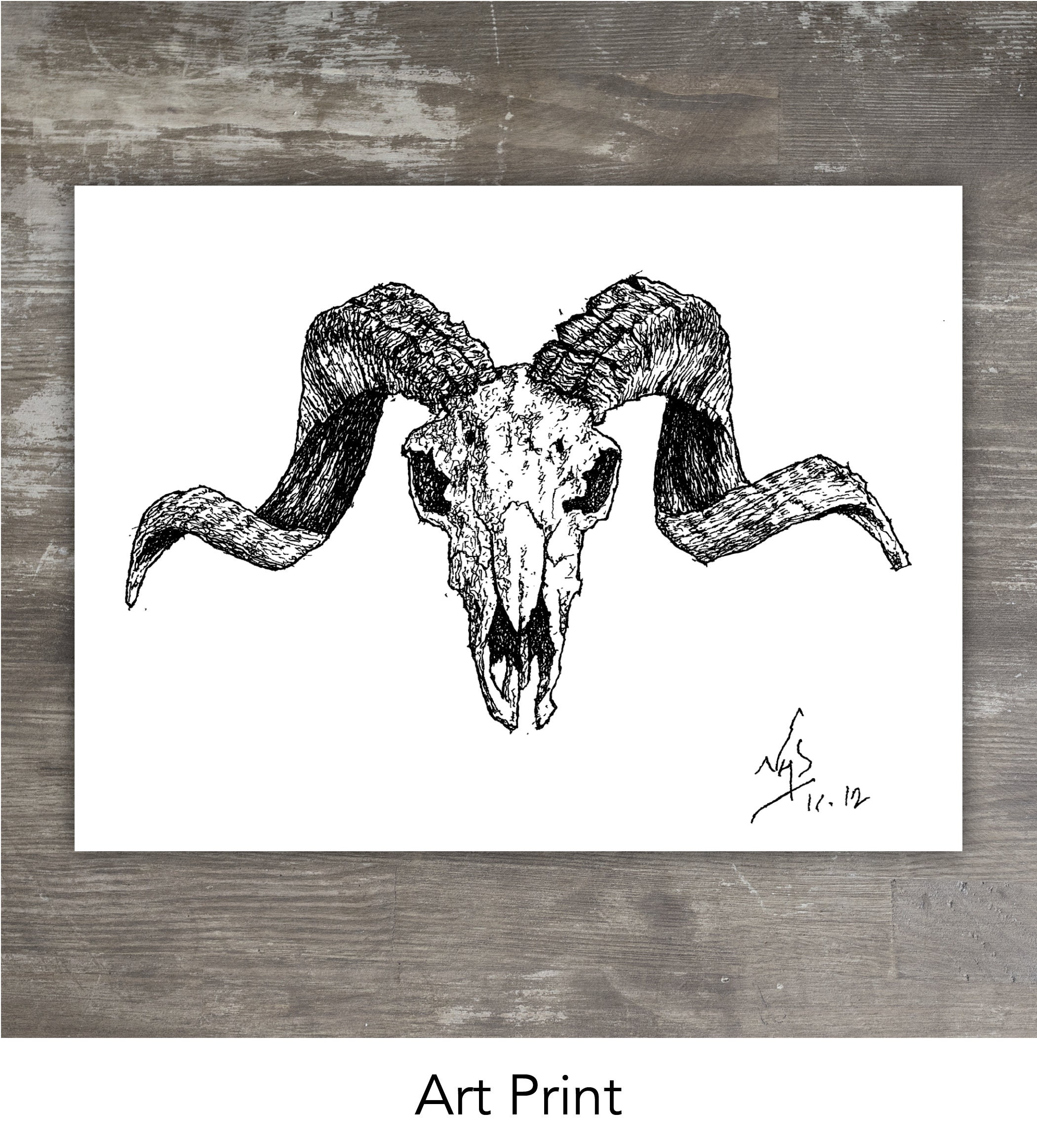 Ram Skull Art Print: Pen and Ink Animal Illustration - Etsy