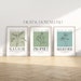 Names of Jesus Set of 3 Downloadable Poster Jesus Savior - Etsy