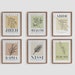 Pick Any 6 Prints Pick Your Own 6 Prints Wall Bundle Sale - Etsy