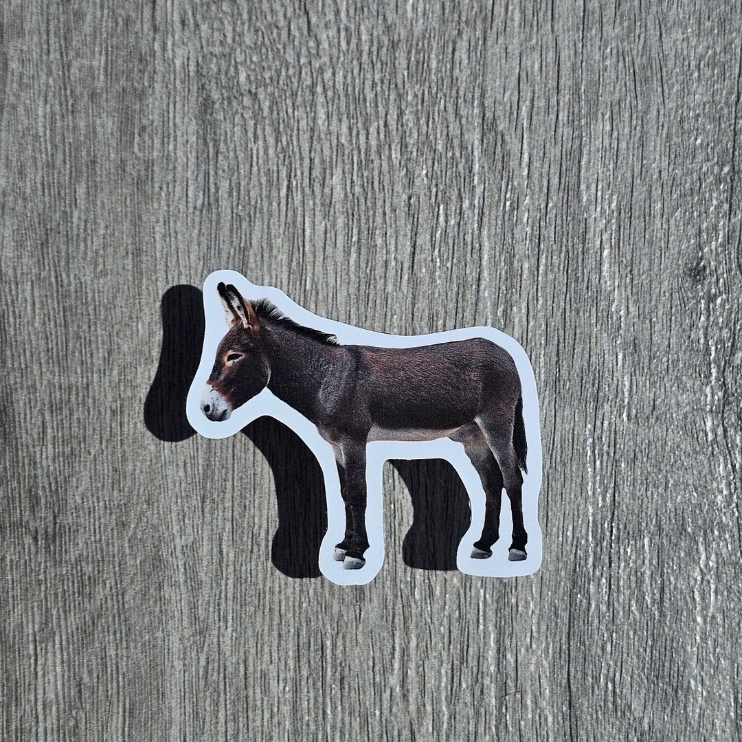 Wild Burro Sticker: Arizona Desert Donkey, Waterproof Vinyl, Mother's ...