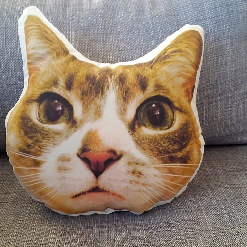 Cat Head Pillow - Etsy
