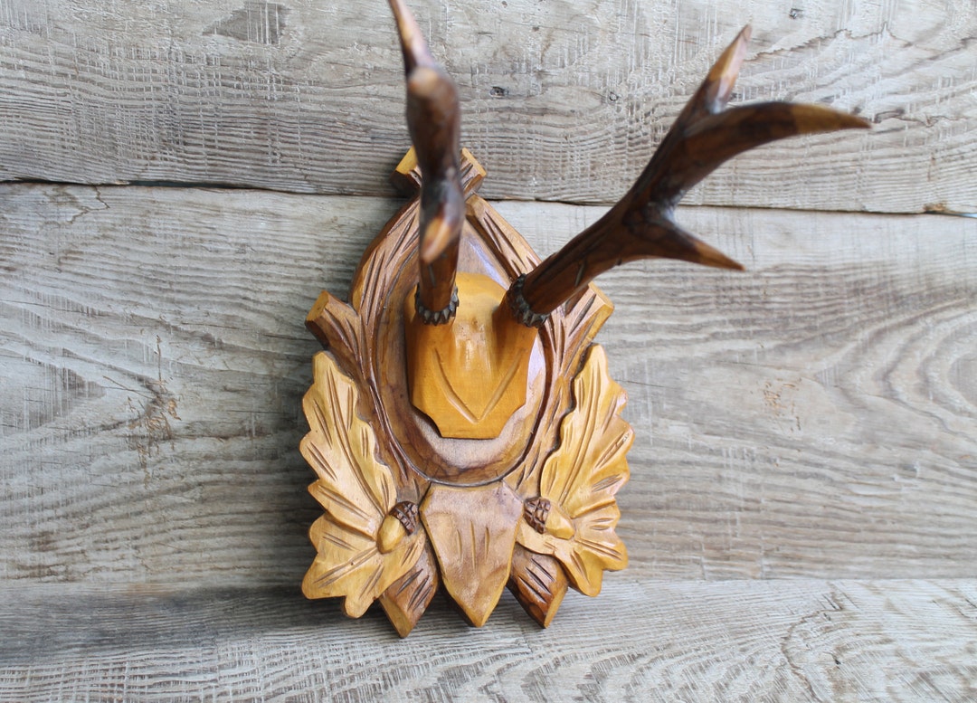 Hanger Horn, Home Decor Horns of Roe Deer on Wooden Plate, Wall Hanger ...